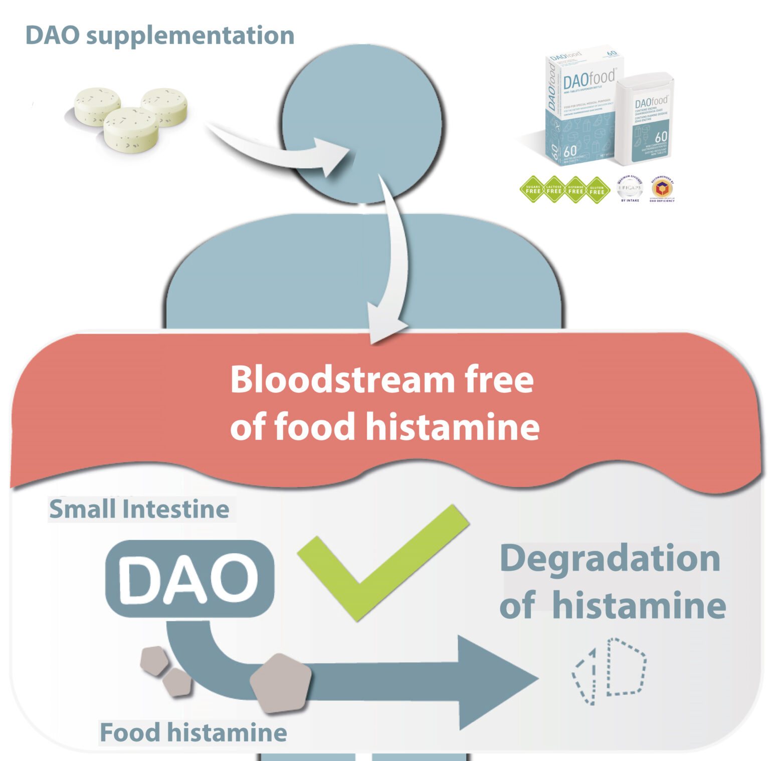 DAOfood®: dietary management of DAO deficiency / Histamine Intolerance ...